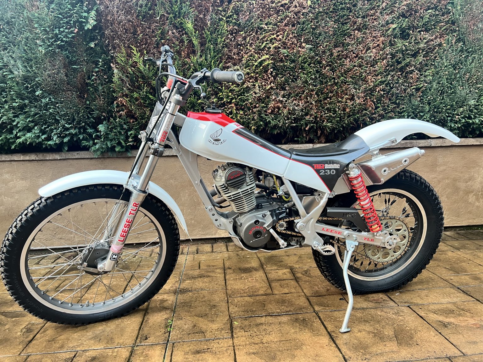 TLR Evolution – Specialist Honda Restorations